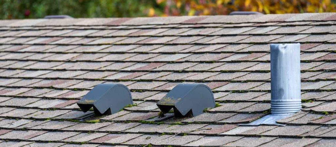 The Importance of Roof Vents and the Available Options